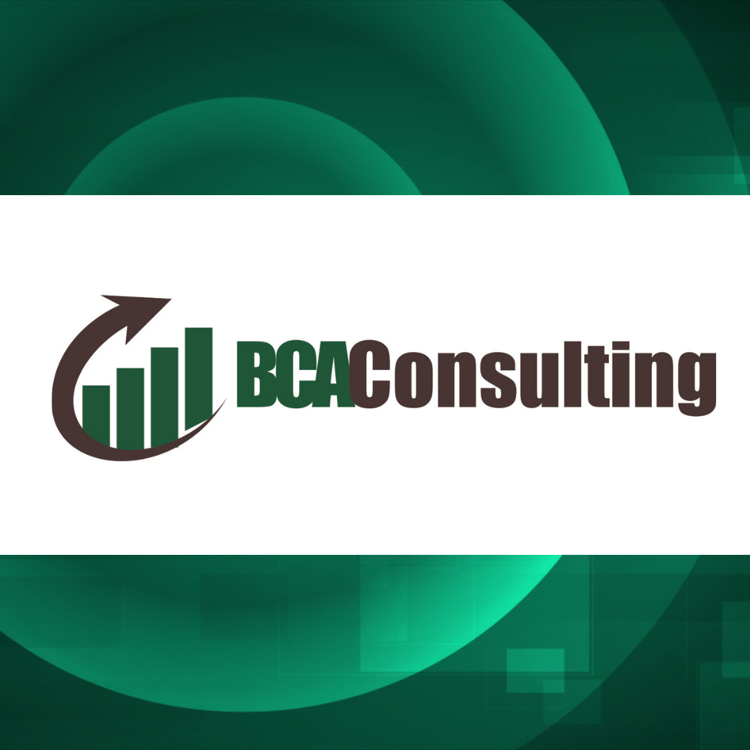 Home - BCA Consulting